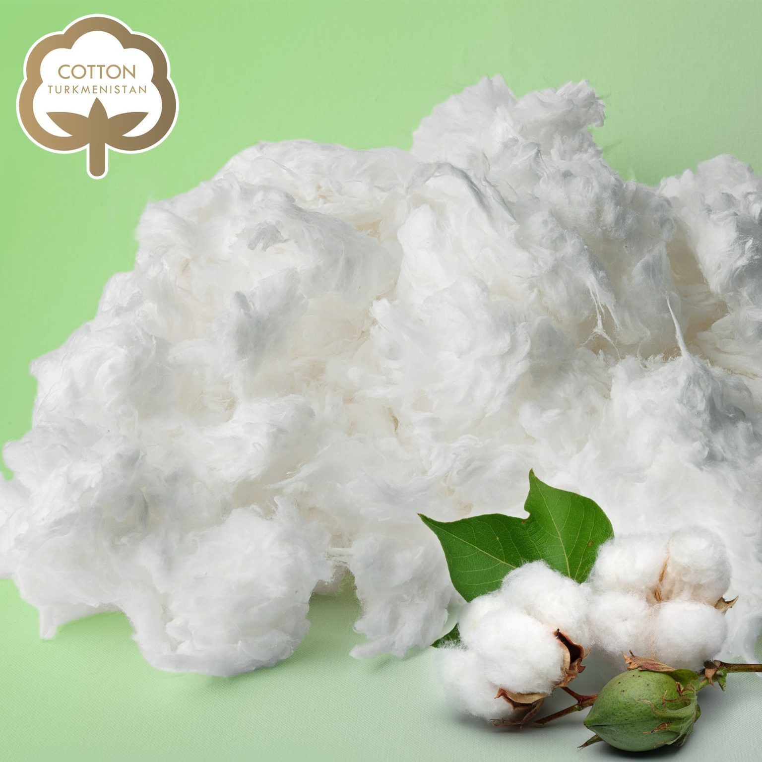 Bleached Cotton Wholesale From Turkmenistan Made In Turkmenistan Bleached Cotton Wholesale From Turkmenistan Made In Turkmenistan